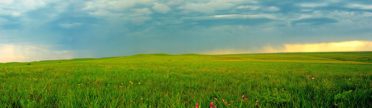 Protecting the Tallgrass Prairie Left in the USA - Thrillist