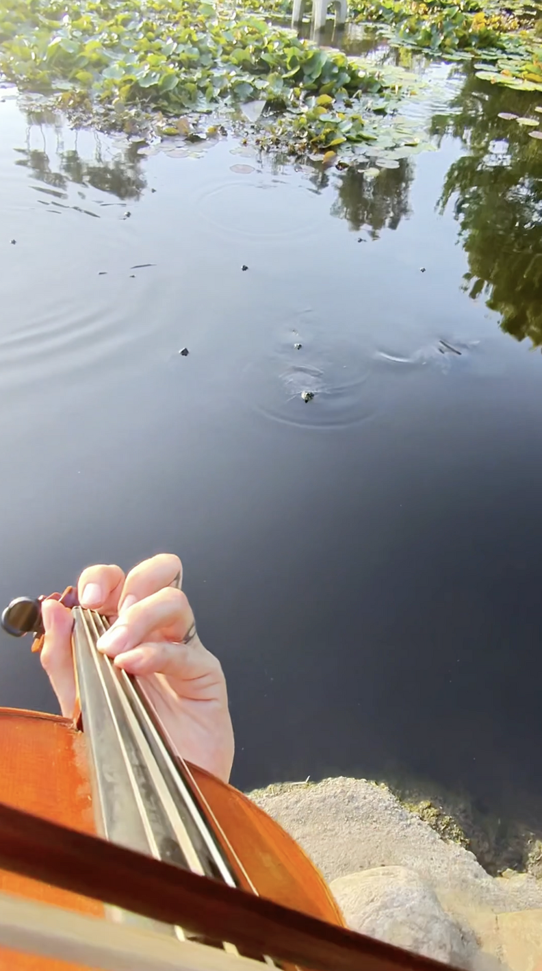 Guy Accidentally Plays Violin For The Most Unlikely Audience - The Dodo