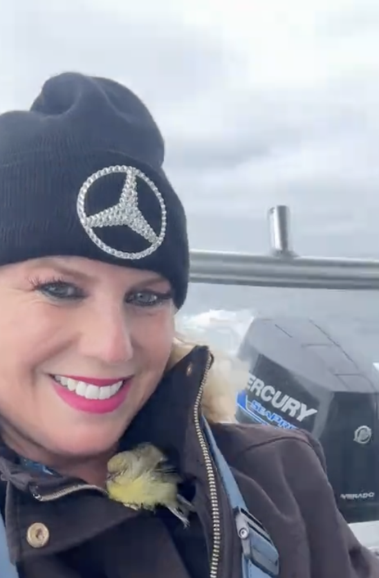 Little Bird Lost At Sea Finds A Cozy Place To Finally Rest Her Wings ...