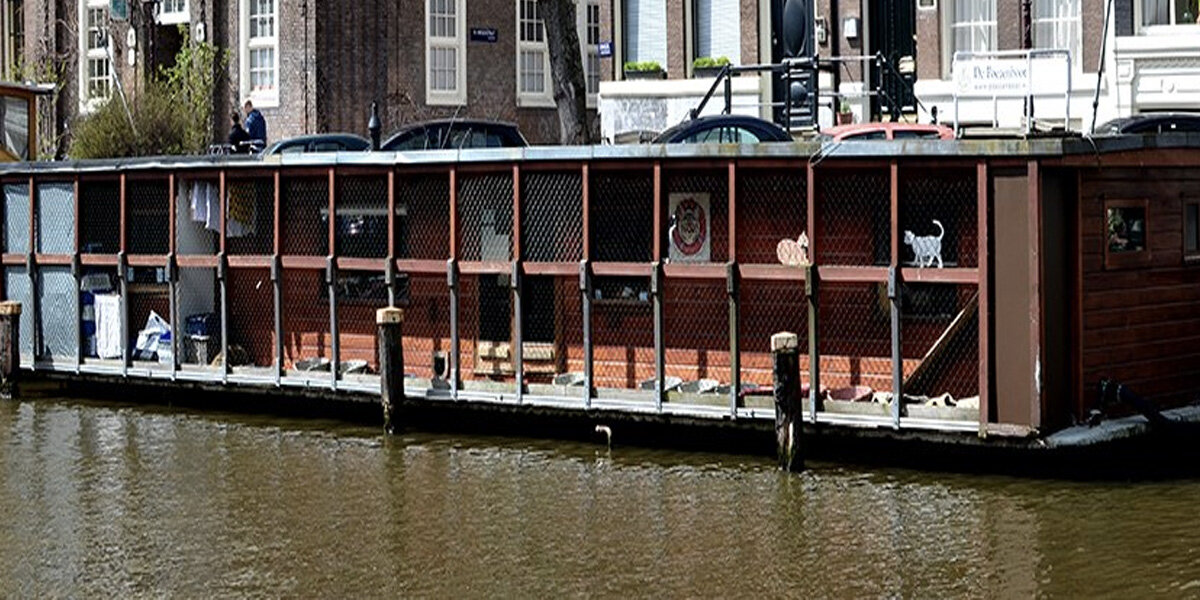 Amsterdam's Beloved 'Cat Boat' Lives Up To Its Name In The Very Best ...