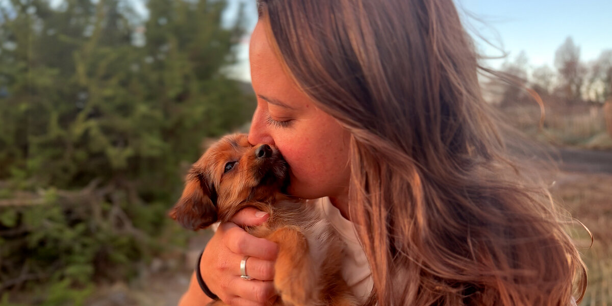Is It OK To Love A New Dog After Losing Your Soul Pup? - Videos - The Dodo