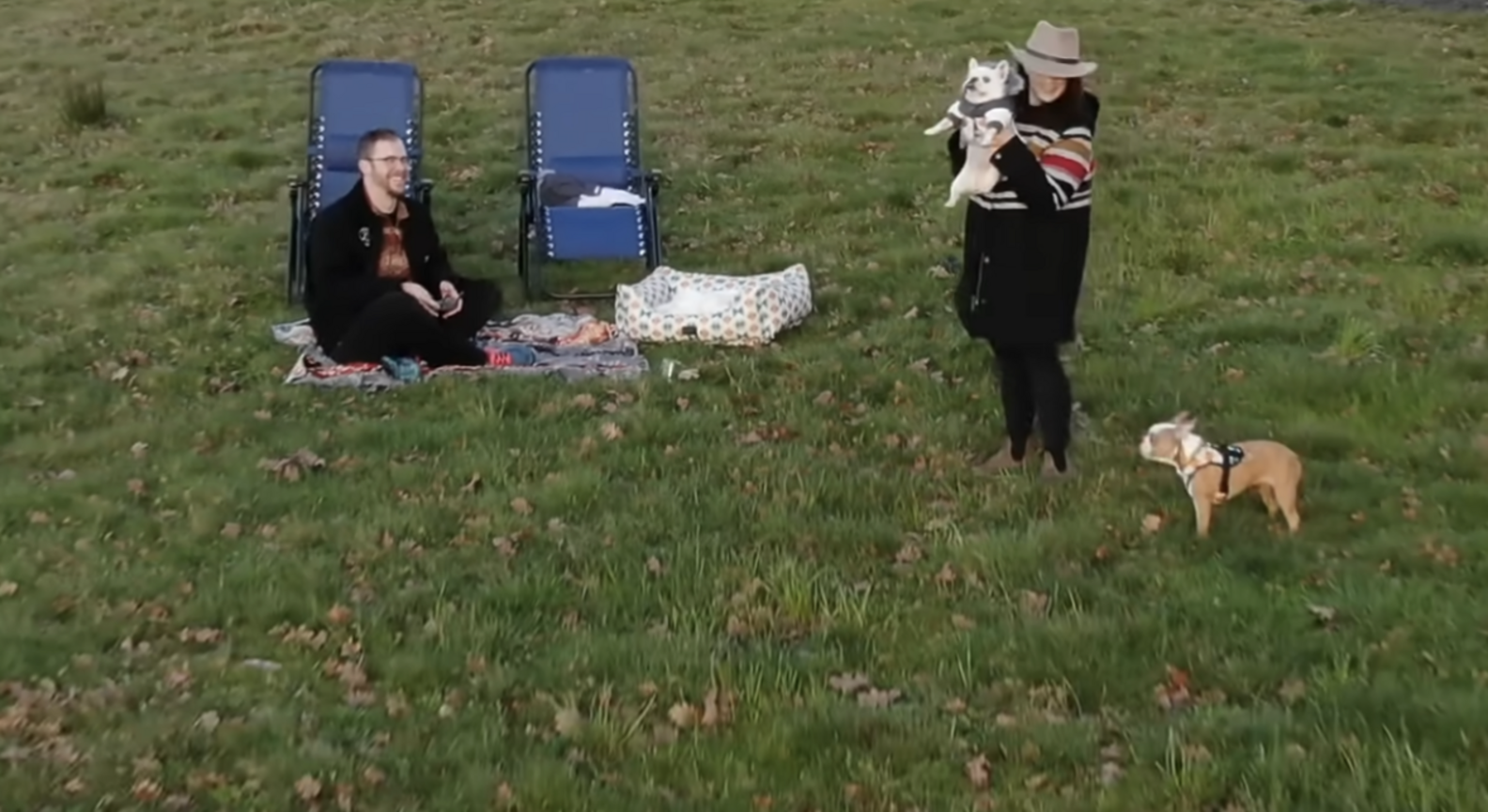 We Took Our Three-Legged Frenchie Camping In A Vineyard - The Dodo