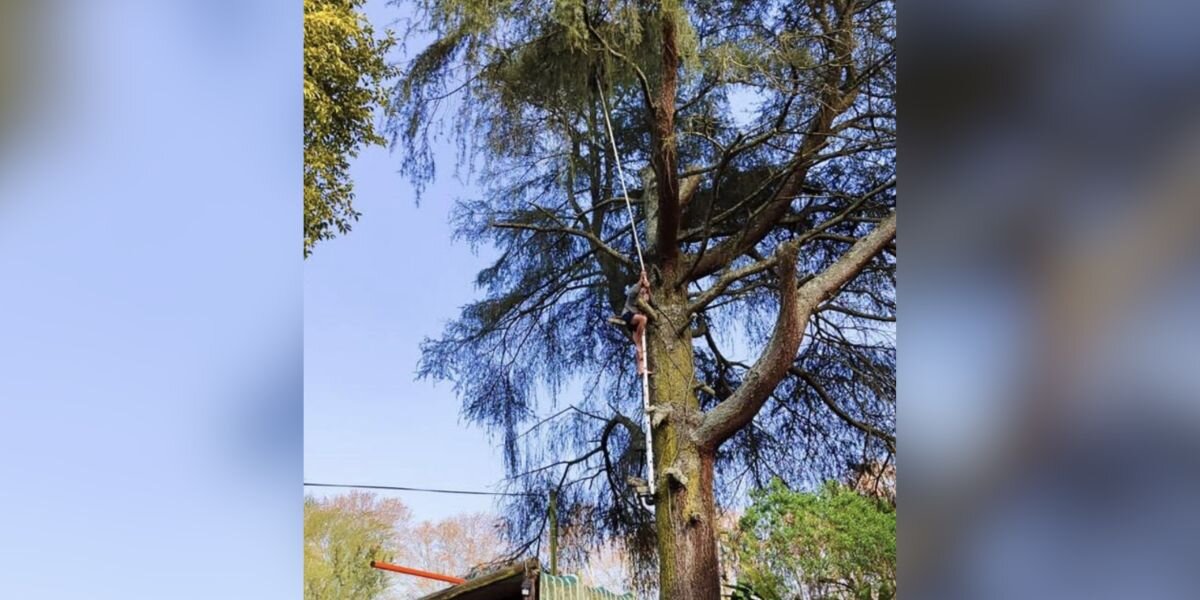 Little Girl Calls For Dad When She Spots Someone Wild In Need Of Help ...