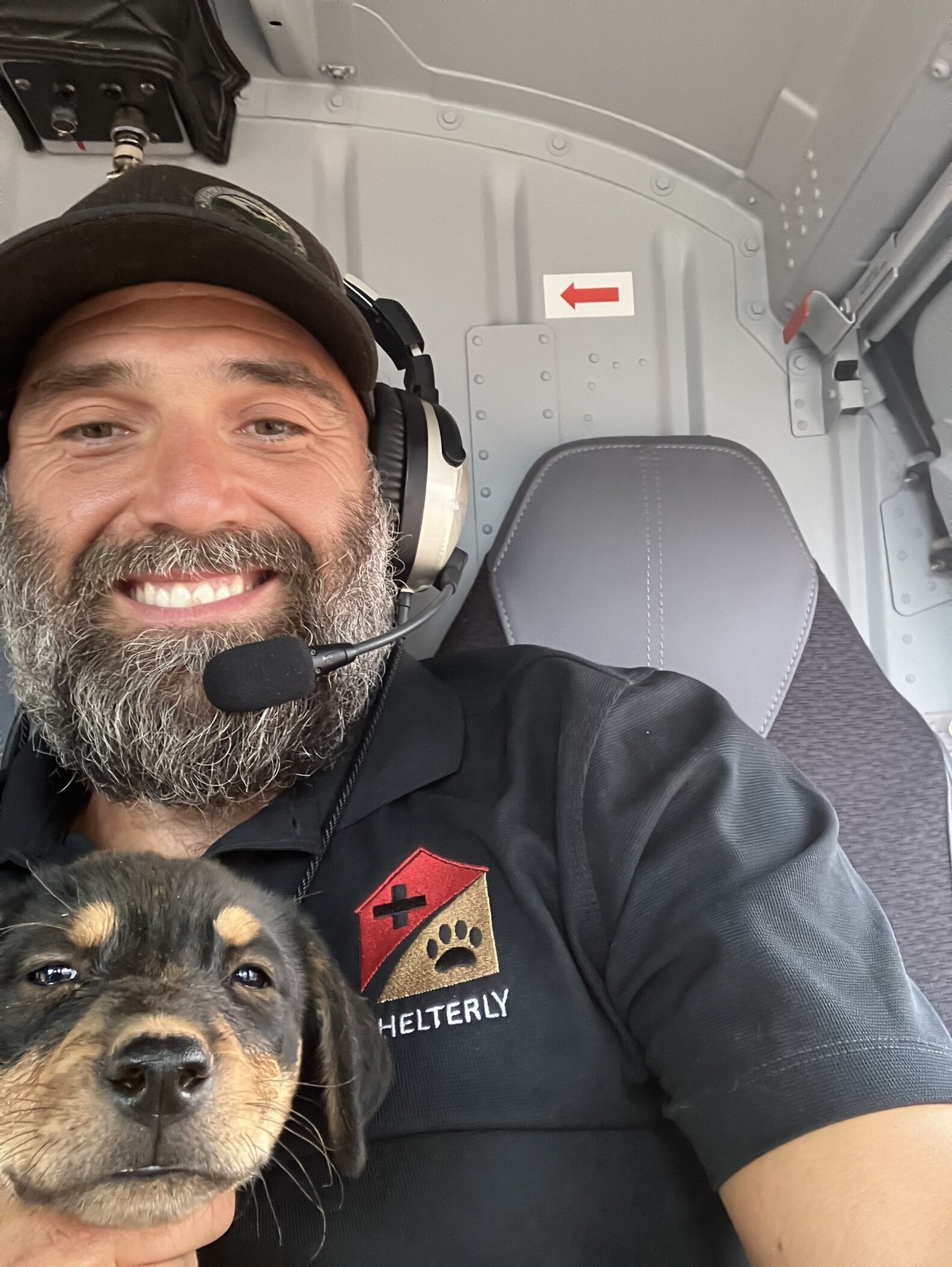 Rescuer Flies Into Wildfire Zone To Save A Family Of Stranded Dogs ...