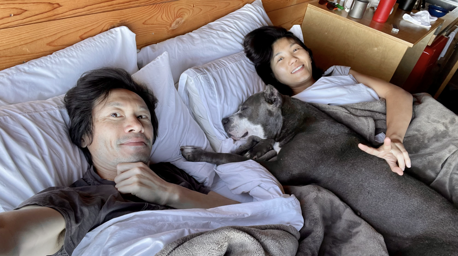 We Took Our Pittie Who Was Abandoned In The Woods On A Fancy Glamping ...