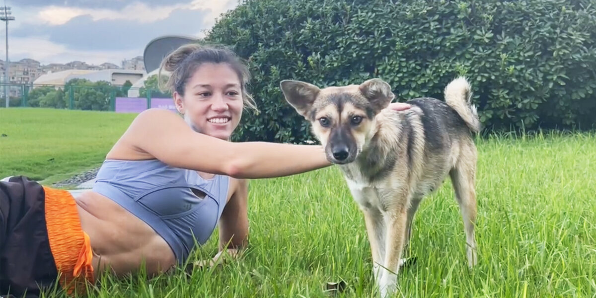 Pro Athlete Rescues Stray Dog Who Kept Showing Up To Practice - Videos ...