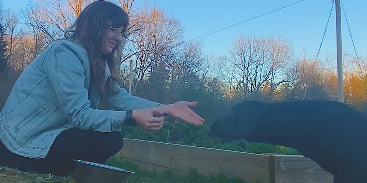 Stray Lab Won't Come Near People Until This Dog Befriends Him ️ ...