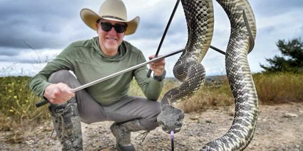 Man Saves Tons Of Venemous Snakes As A Hobby - Videos - The Dodo