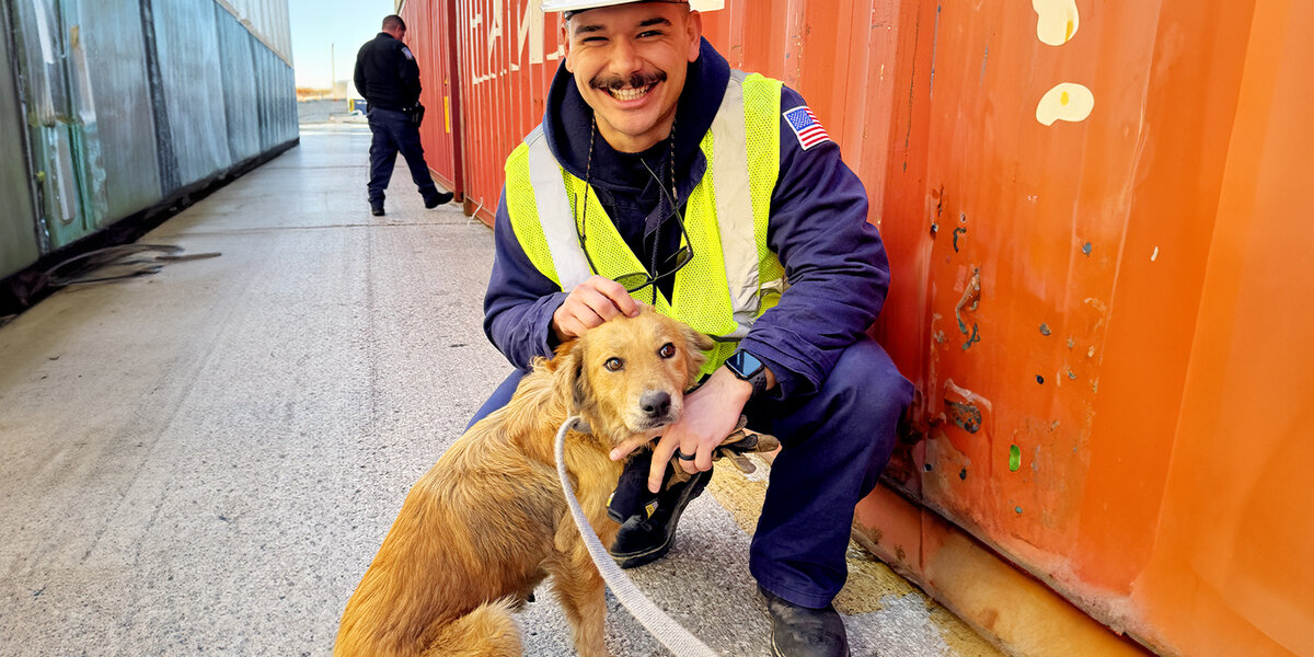 Coast Guards Rescue Dog Trapped In Shipping Container - Videos - The Dodo