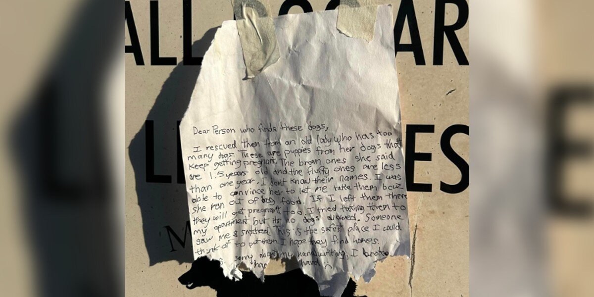 Heartbreaking Confession Taped Up In Park Leads To The Rescue Of 6 ...