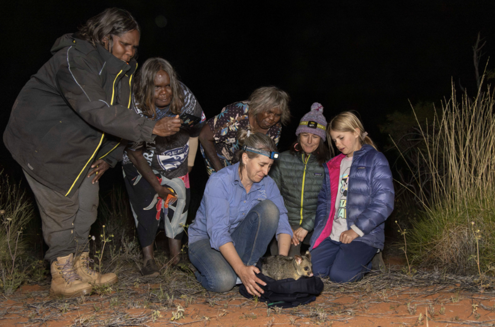 Researchers Release 40 Possums Into Desert For The Sweetest Reason ...
