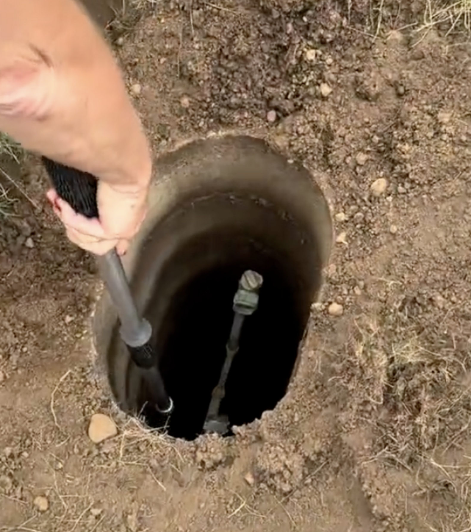 Rescuer Sees Something Move At Bottom Of Well — Then She Zooms In - The ...