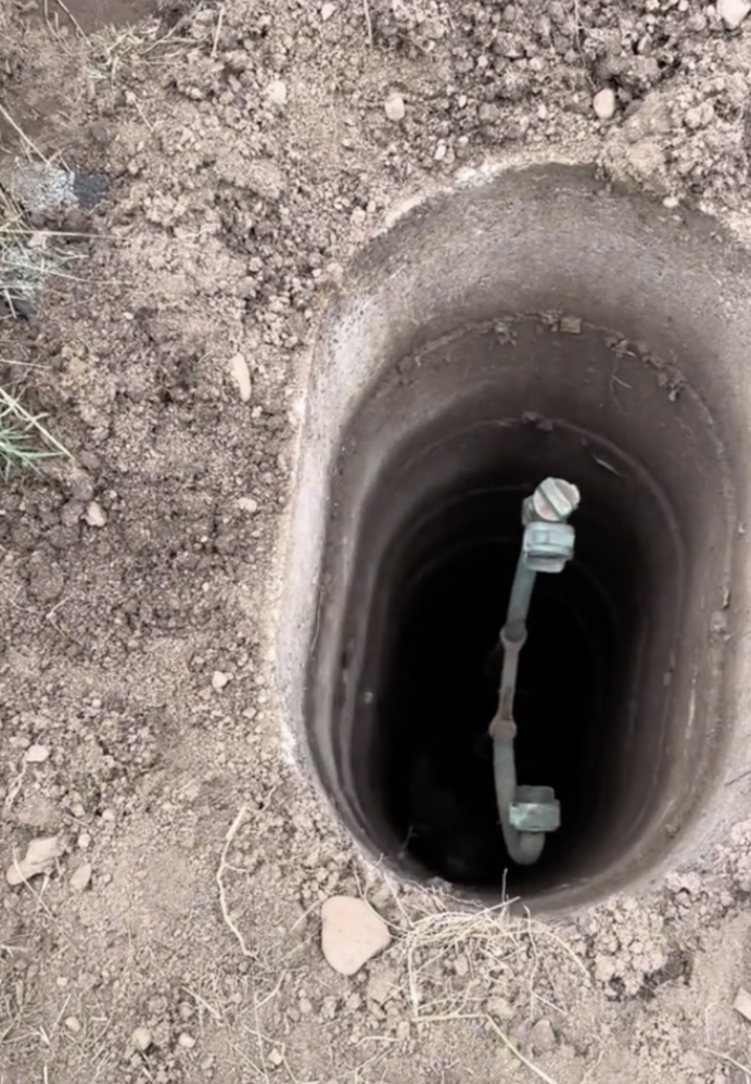 Rescuer Sees Something Move At Bottom Of Well — Then She Zooms In - The ...