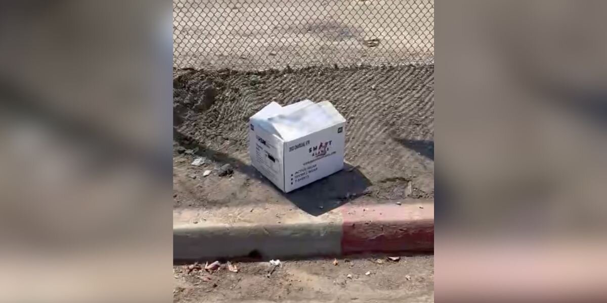 Woman Spots White Box On The Curb — Then Sees A Fluffy Head Pop Out ...