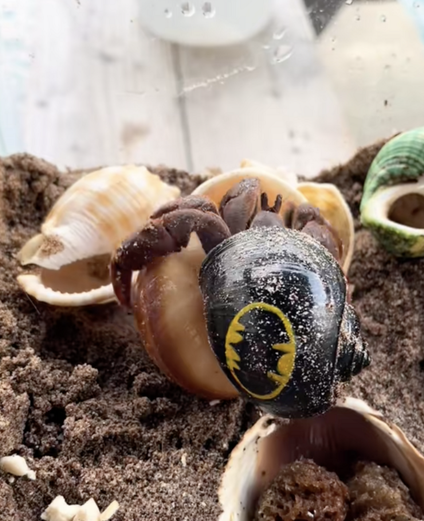 Man Finds Bin Full Of ‘Trash’ On Beach — Then Realizes What’s Really ...