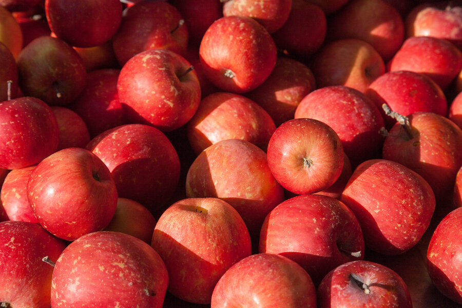Viral Apple Rankings Review: Are Fuji Apples Better in Japan? - Thrillist