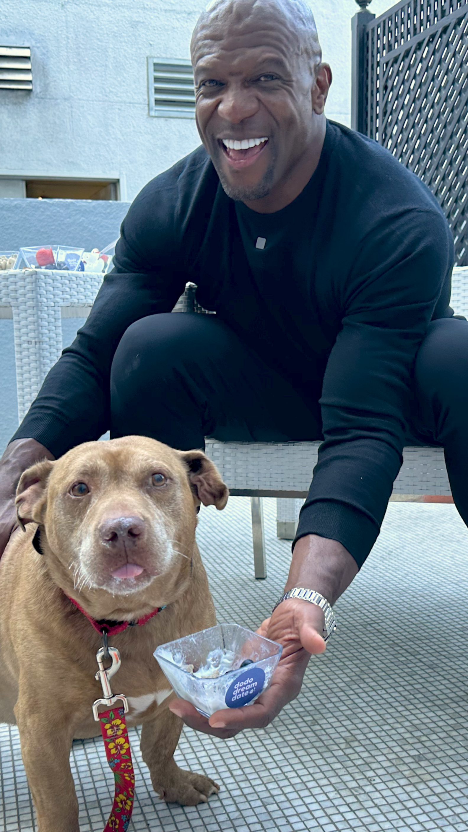 Terry Crews Does Very Special Workout With His Adorable Dodo Dream Date ...