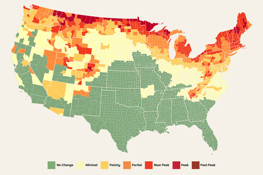 Fall Foliage Map 2024: Best Time and Place for US Leaf Peeping - Thrillist