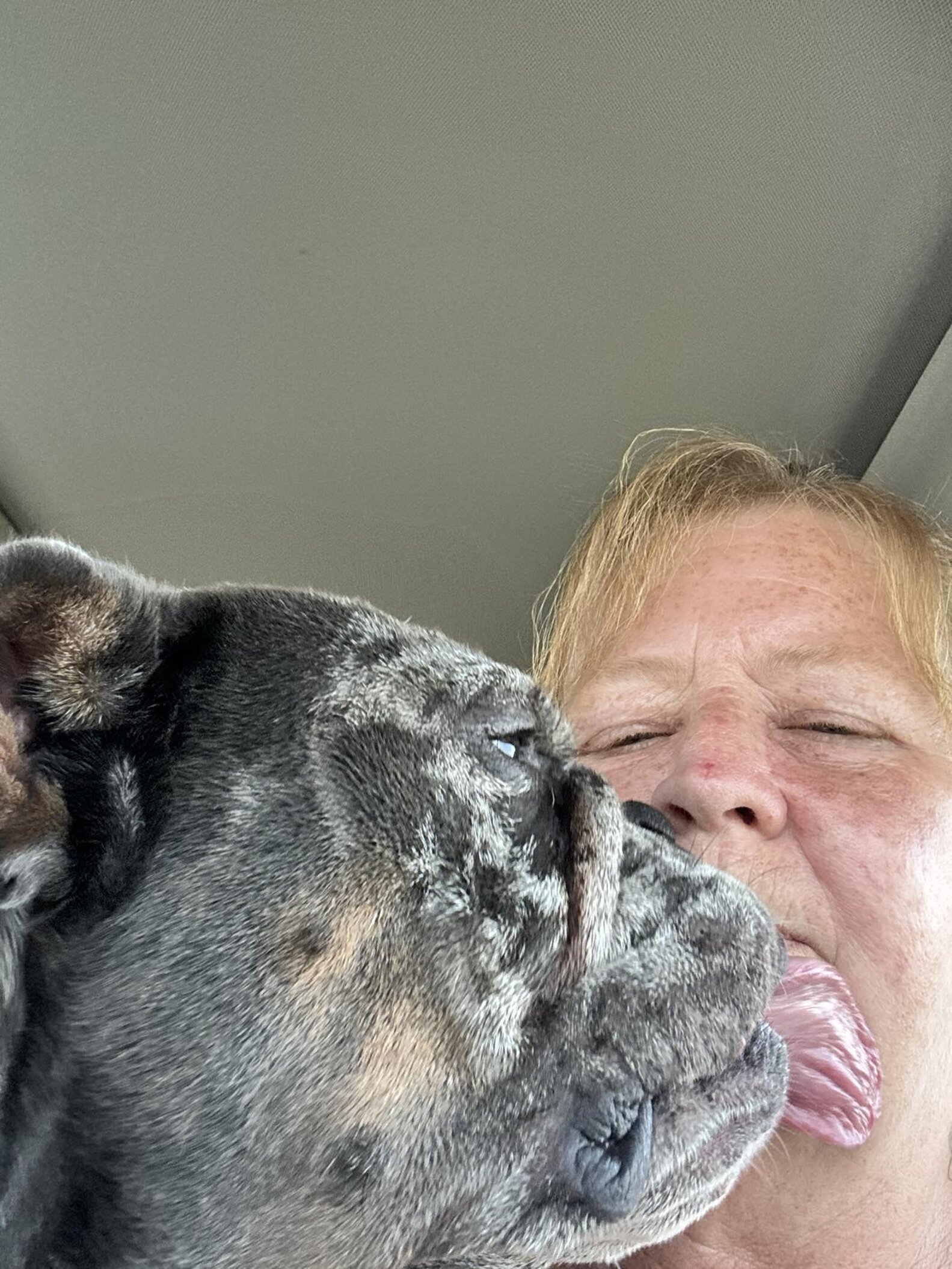 Bulldog Tied To Fire Hydrant On Dead-End Street Hopes Someone Will ...