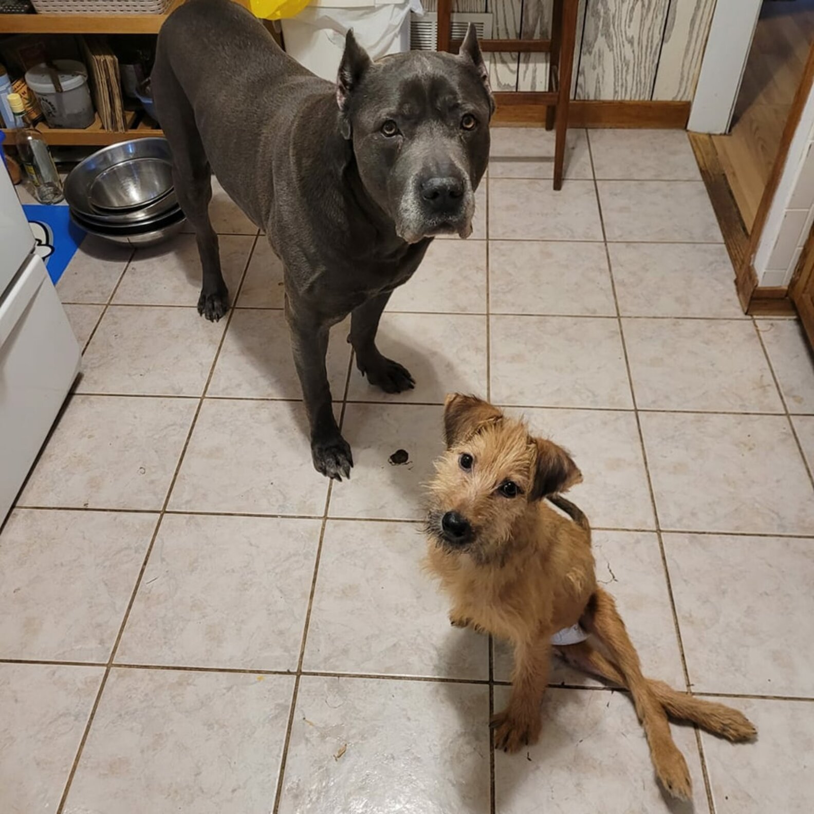 Sanitation Worker Opens Garbage Bag And Finds Someone Barely Alive ...