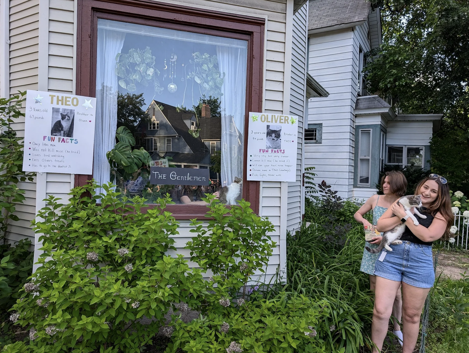 Hundreds Take To The Streets For A Peek At Local Cats Sitting In ...