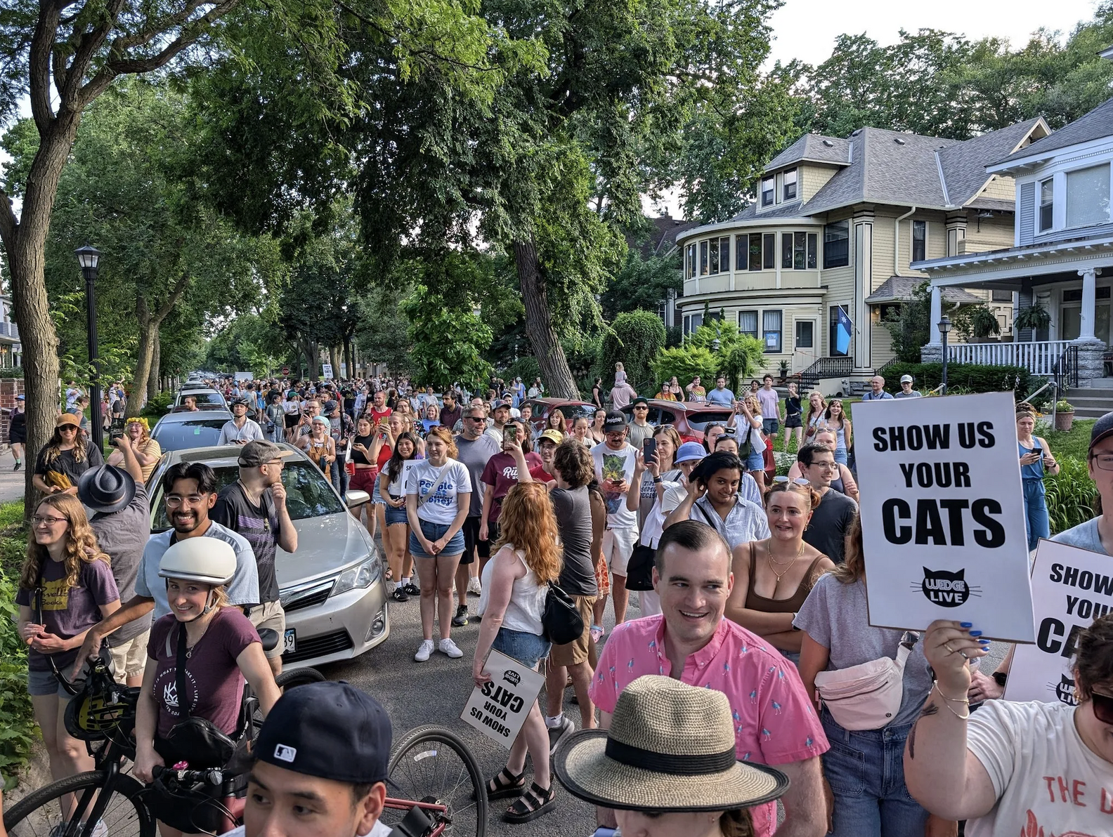 Hundreds Take To The Streets For A Peek At Local Cats Sitting In ...