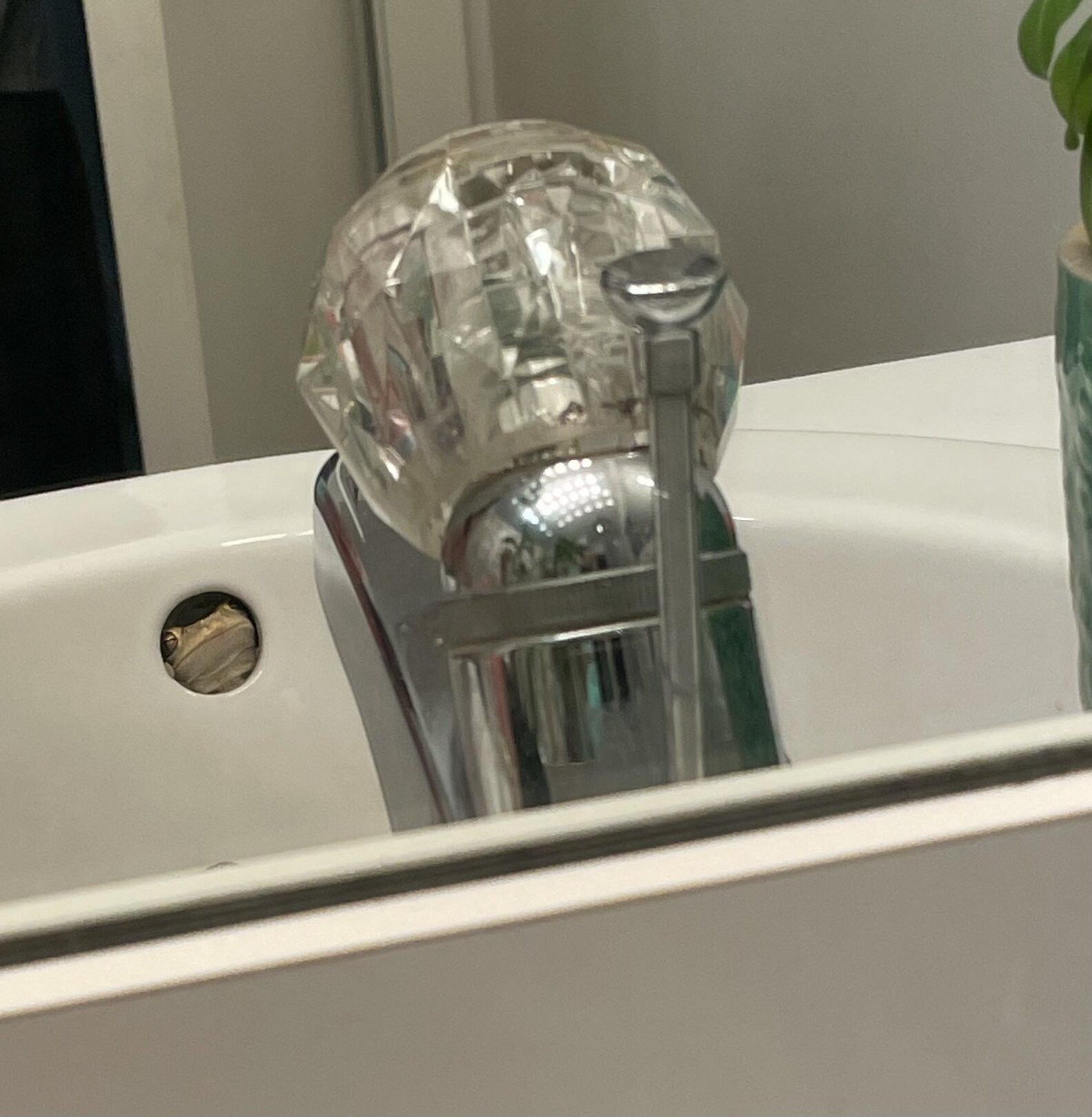 Woman Screams When She Sees Tiny Eyes Staring At Her From Bathroom Sink ...