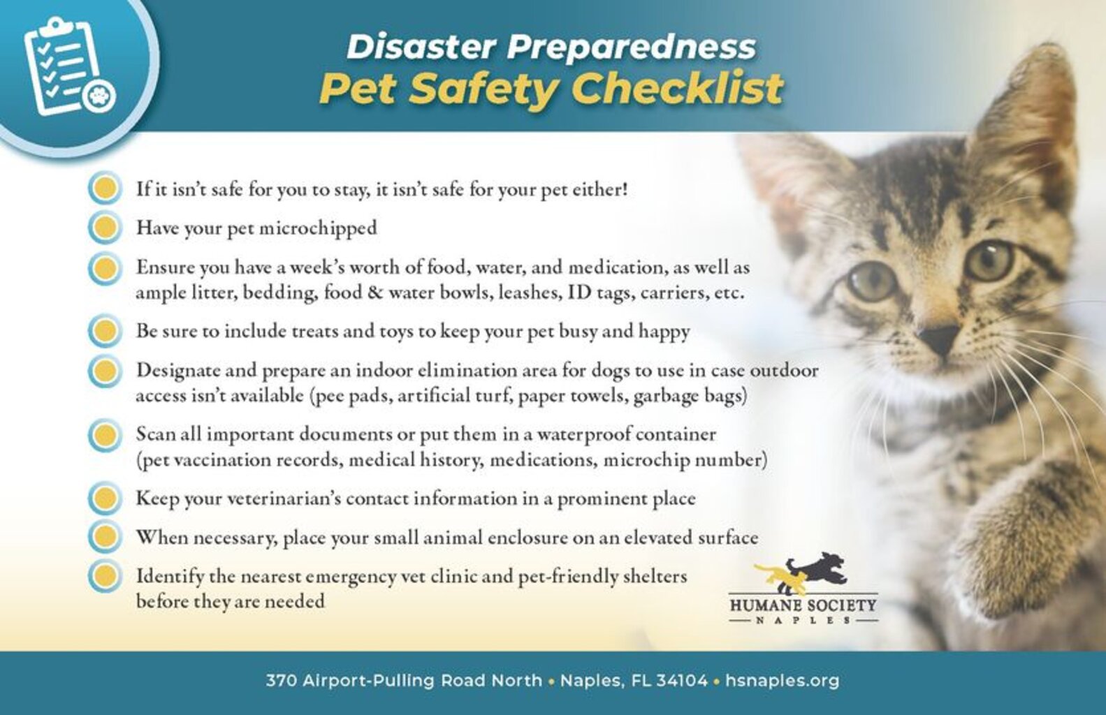 Here’s How To Help Animals Affected By Hurricane Milton - The Dodo