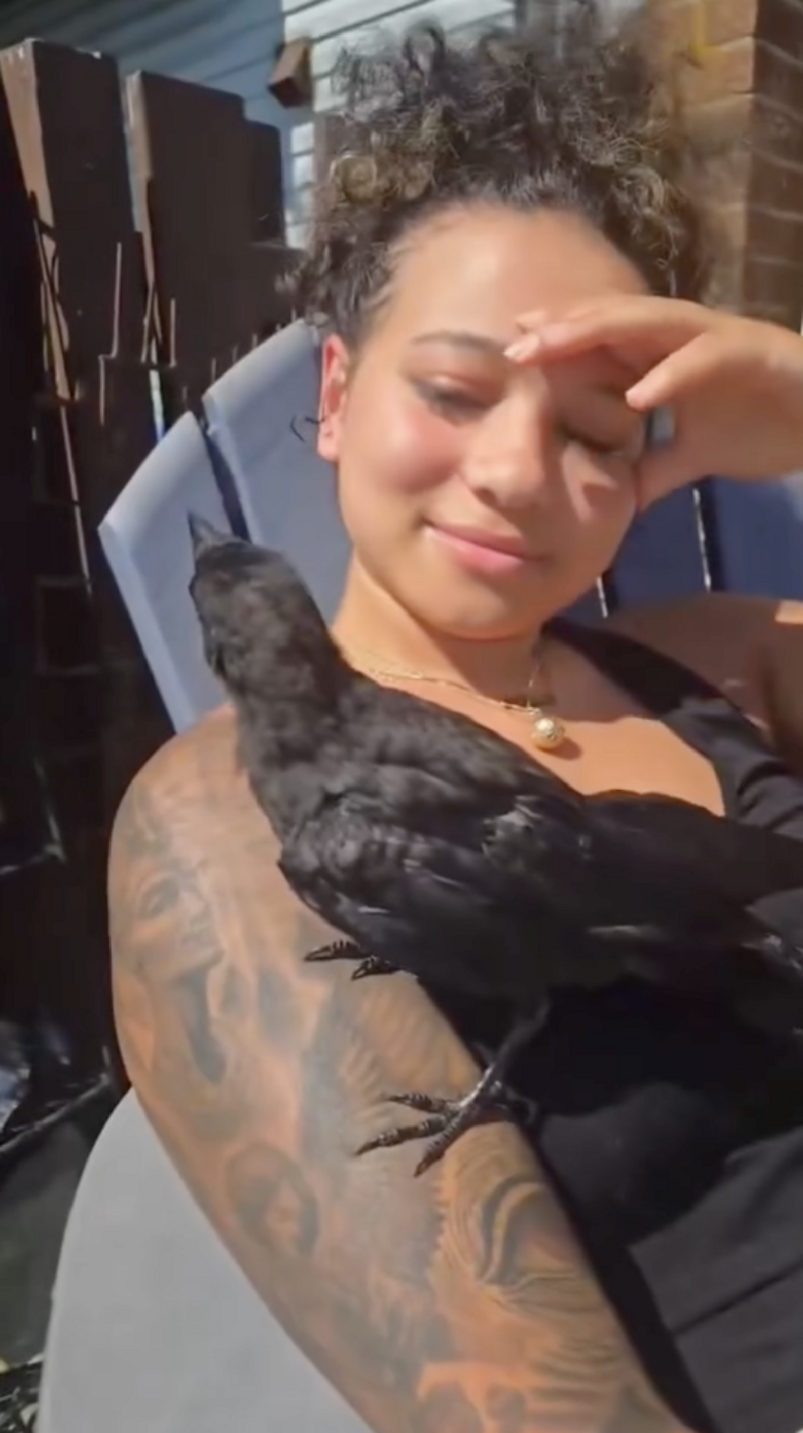 Baby Crow Shows Up Exactly When Grieving Family Needs Him Most - The Dodo
