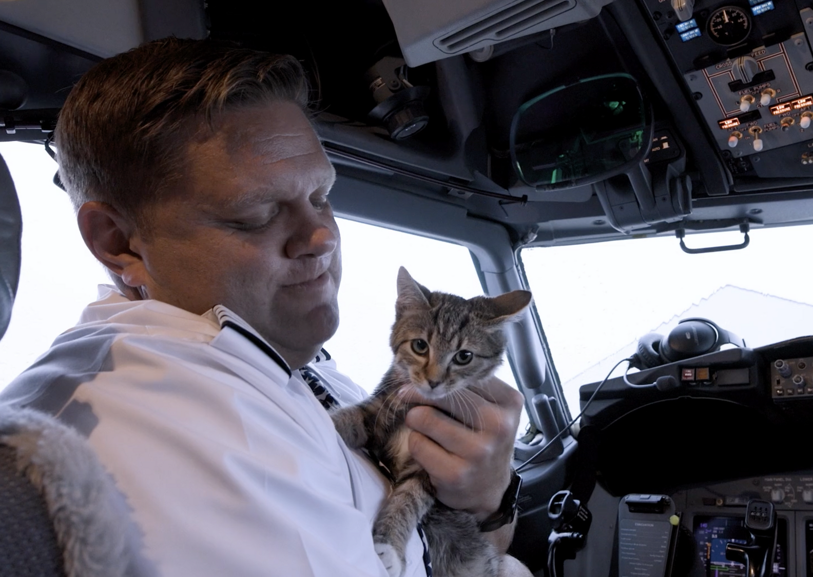 Airline Pilot Meets A Homeless Kitten And Adopts Her On The Plane - The ...