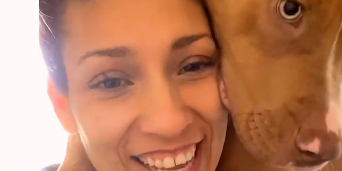 Sometimes Snuggly Pitties Are The Best Medicine - Videos - The Dodo