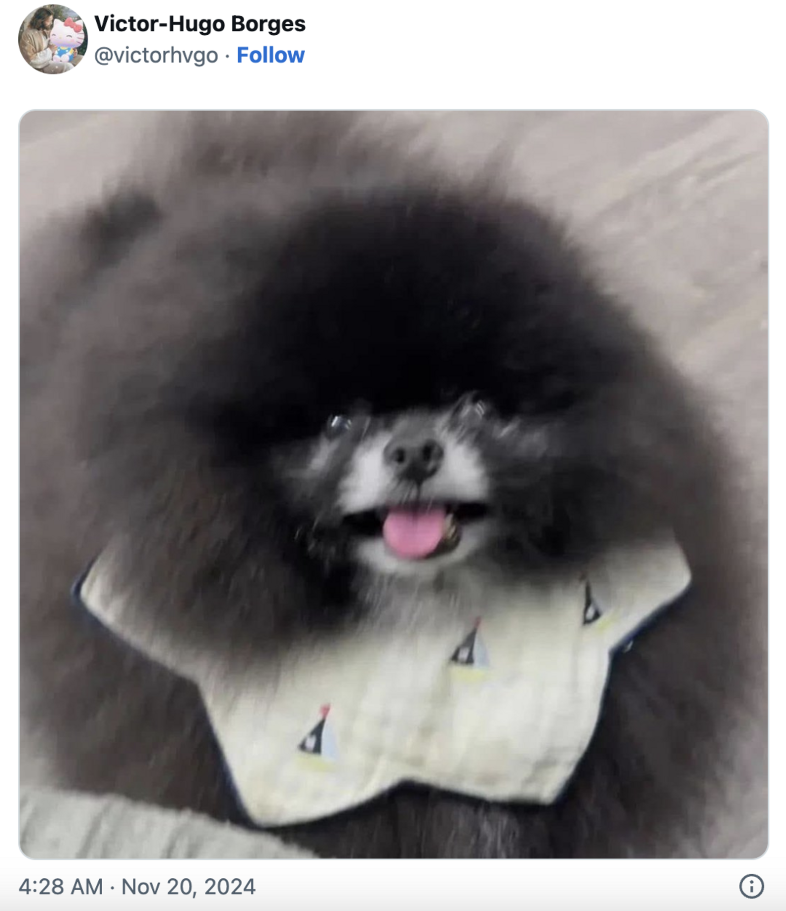 One-Eyed Orb Creature Isn't What She Seems - The Dodo