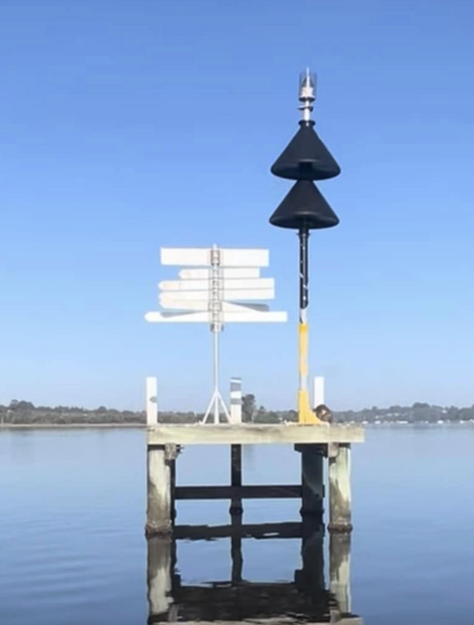 Woman On Morning Walk Spots Ball Of Fuzz Marooned In Middle Of Lake ...