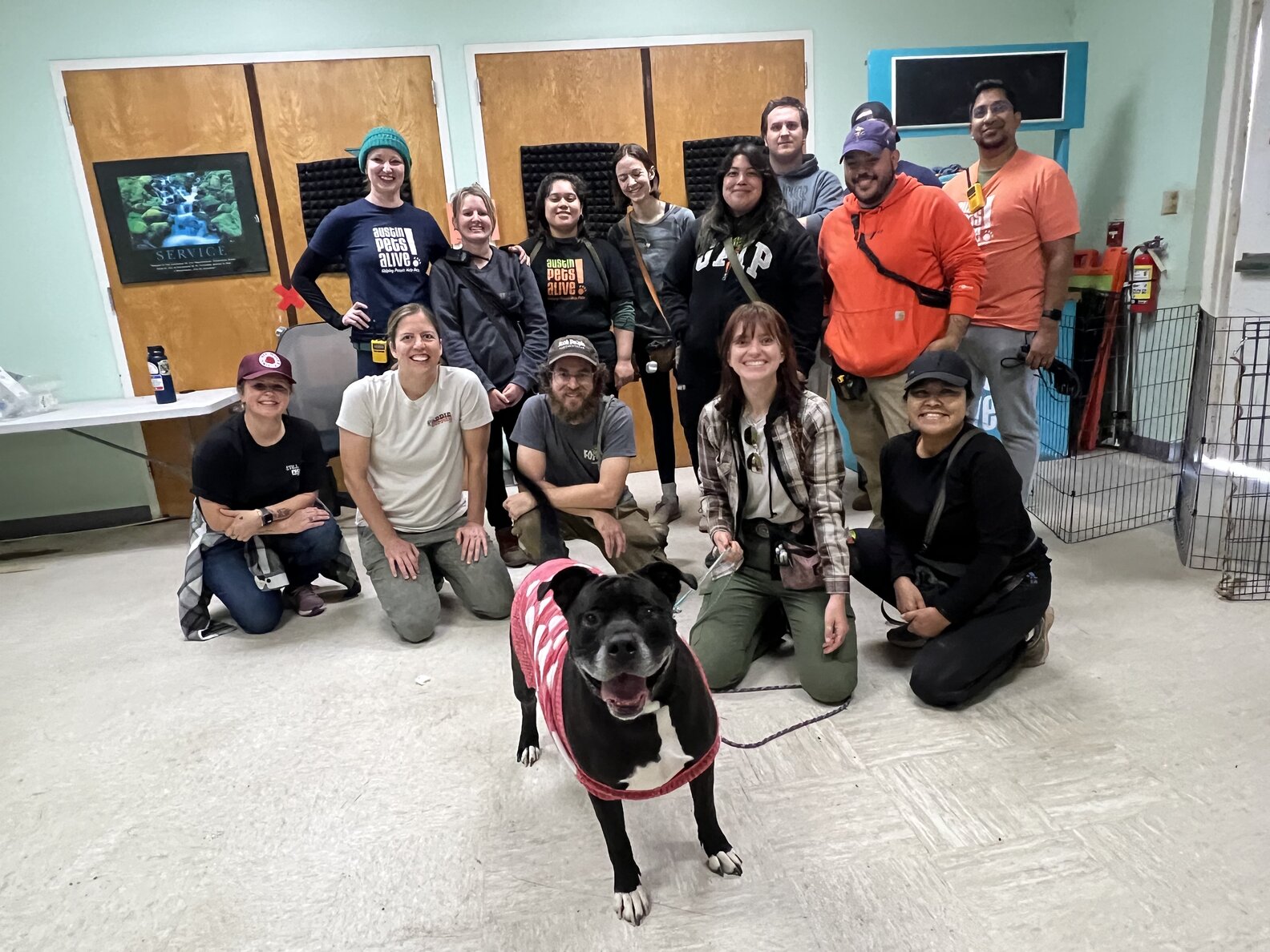 Shelter Pup Loses Her Mind When She Realizes Goodbye Party Is Finally For Her - The Dodo