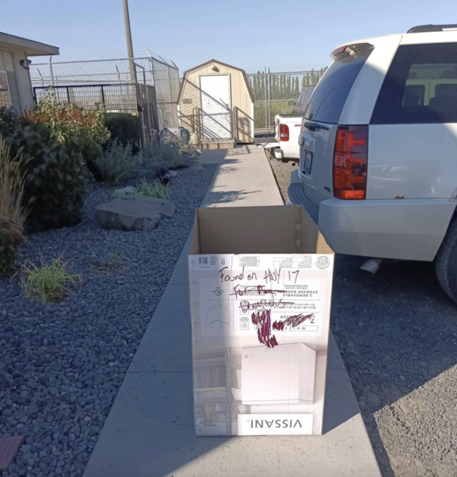 People Look Inside Cardboard Box And Find So Many Babies Waiting For ...