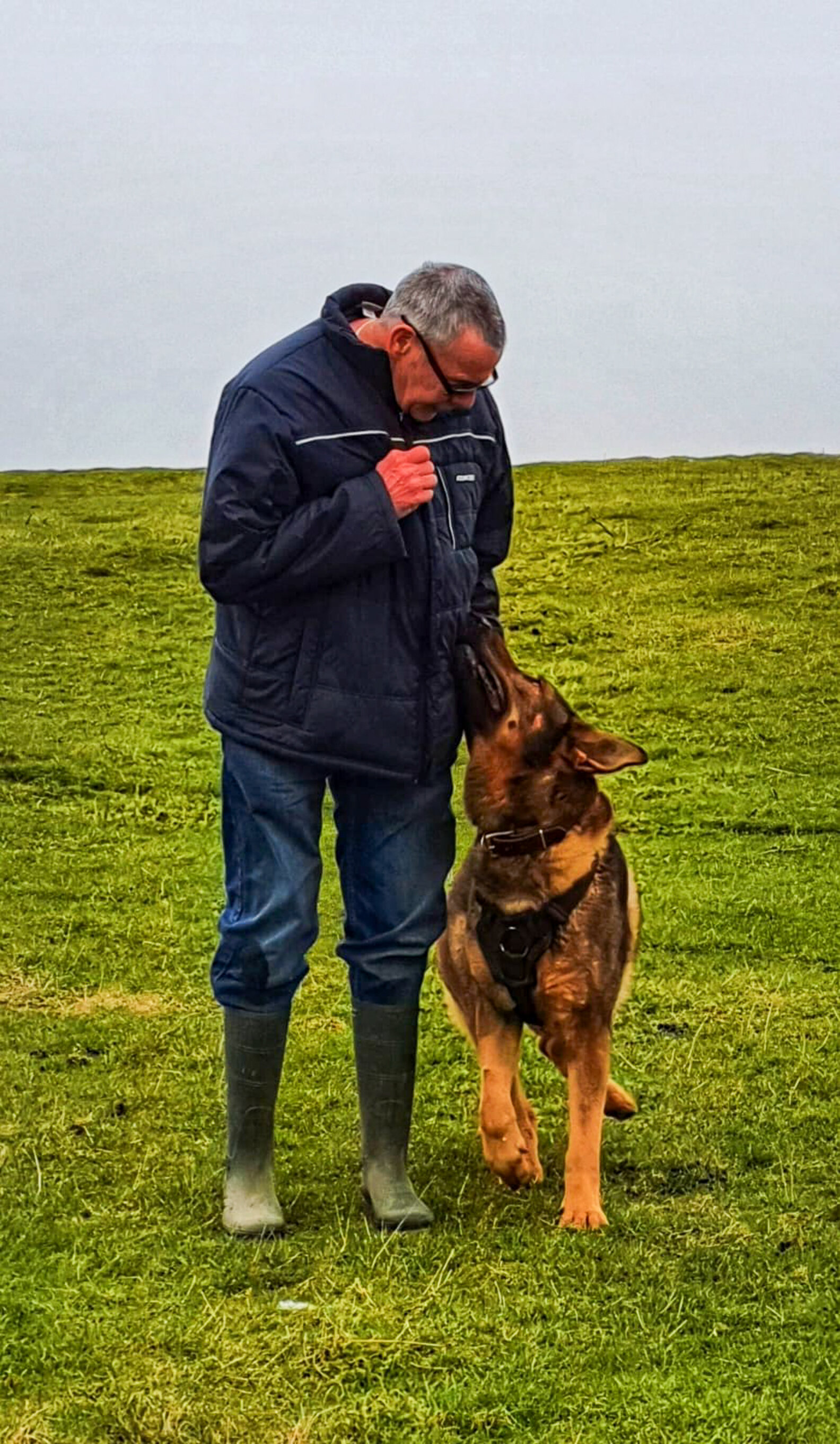 Retired Police Dog Goes On Quick Walk And Ends Up Saving A Missing ...