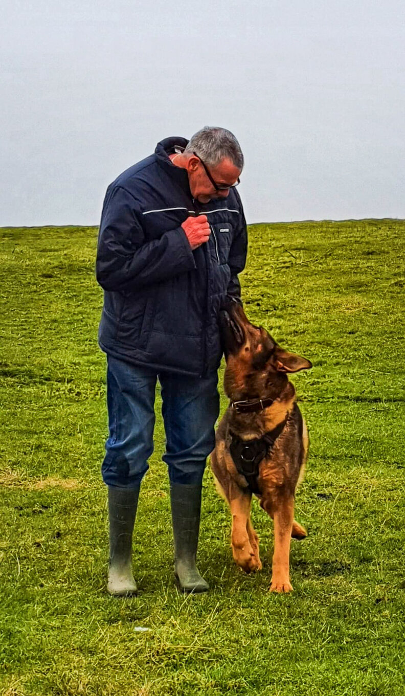 Retired Police Dog Goes On Quick Walk And Ends Up Saving A Missing ...