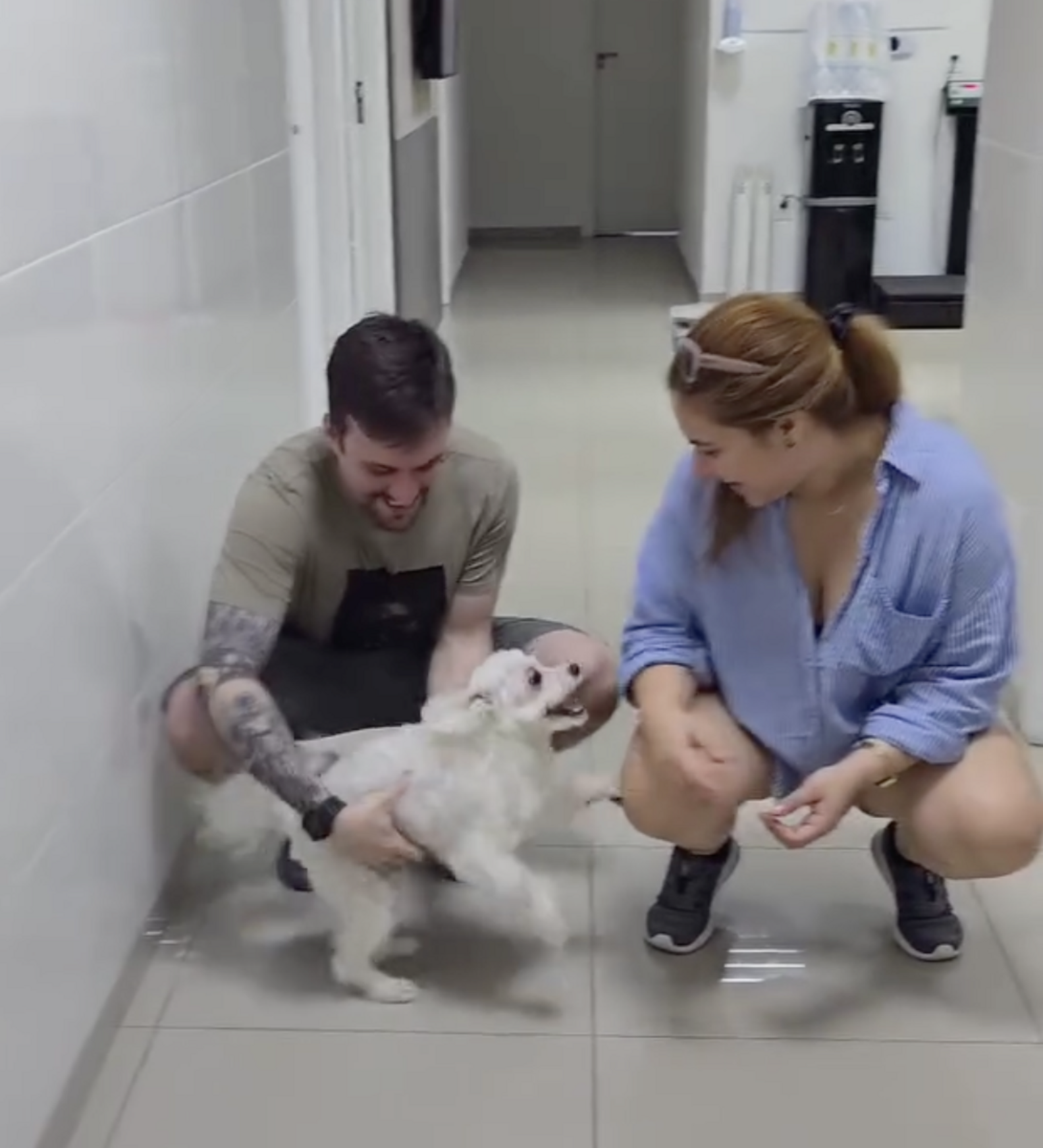 Blind Dog Gets His Sight Back Just In Time For The Holidays - The Dodo