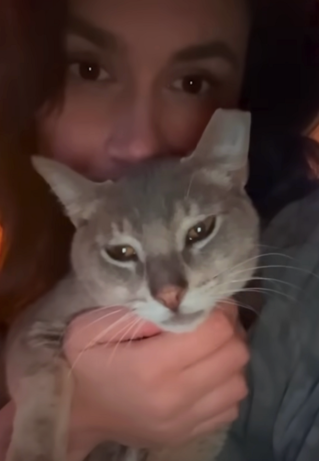 He Lived In A Piece Of Pottery Until Someone Finally Noticed Him - The Dodo