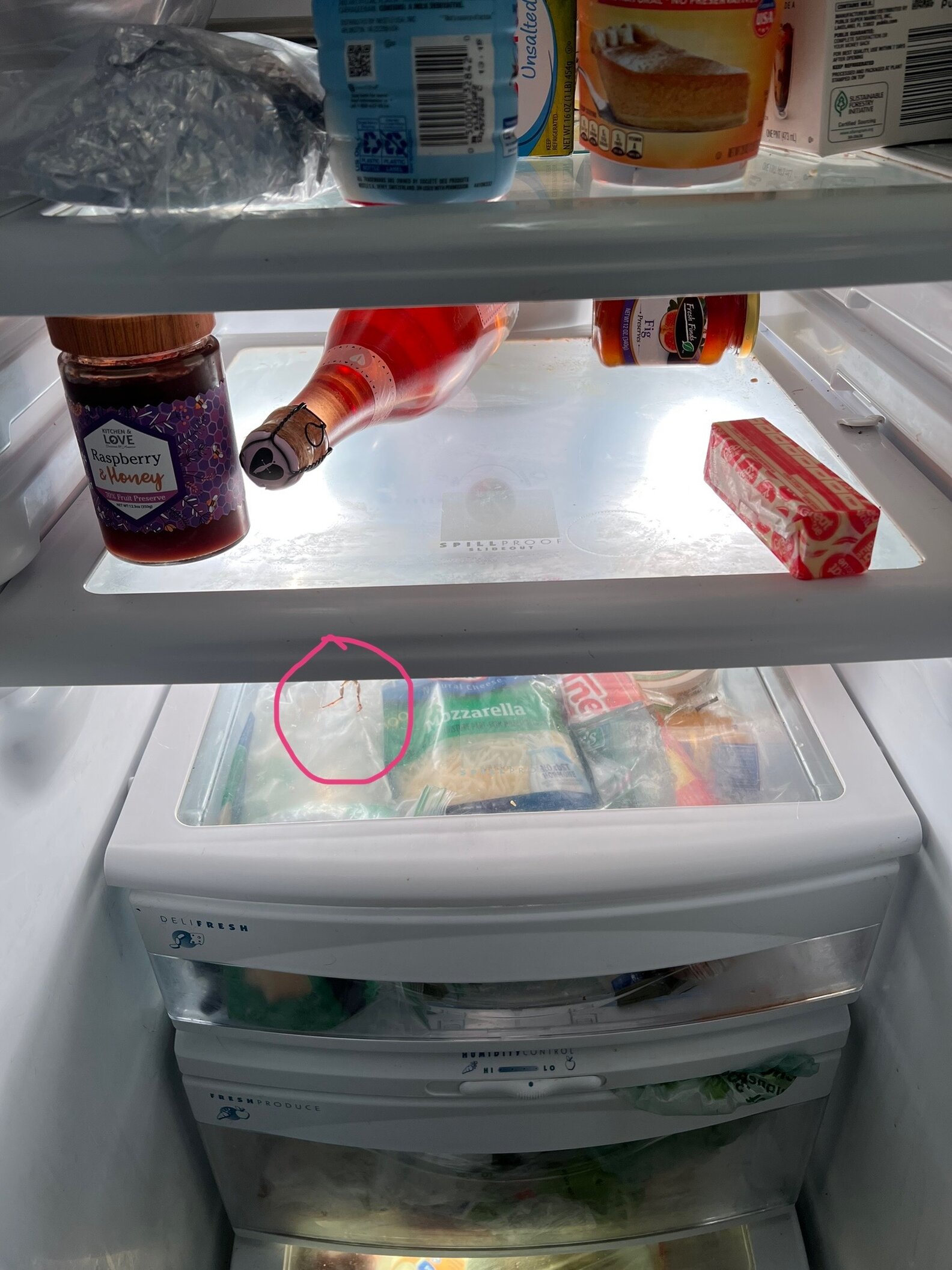 How A Woman Cleaning Out Her Smelly Fridge Ended Up Saving A Life - The ...