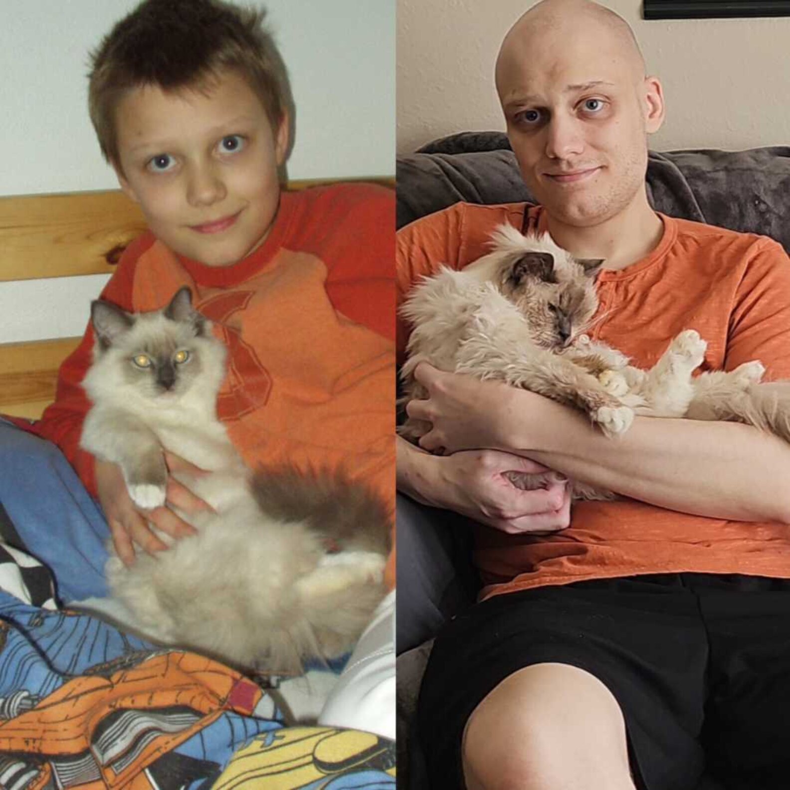 Man And His Beloved Cat Recreate Childhood Photo 20 Years Later - The Dodo