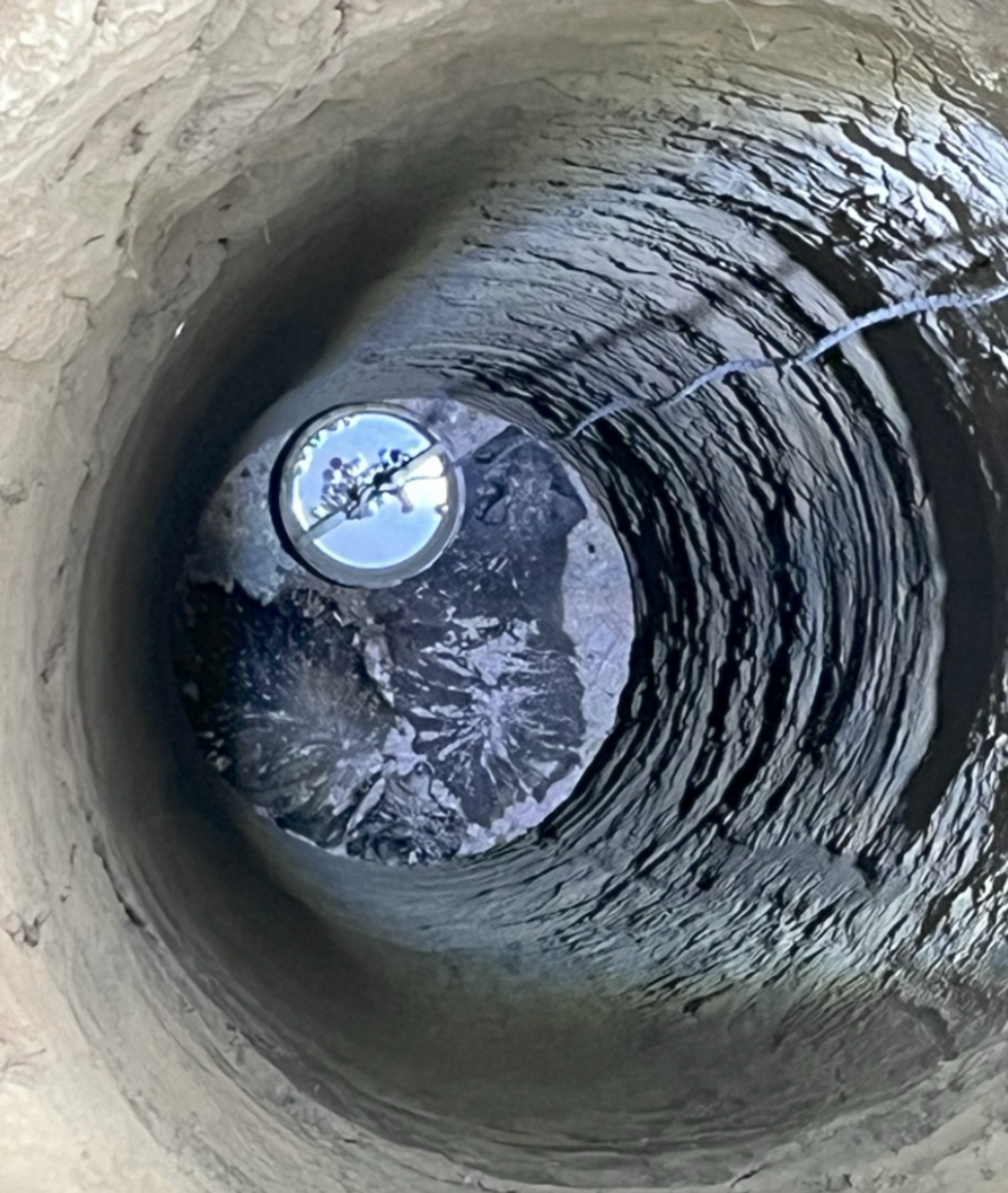 Man Shines Light Into Deep Hole And Finds 2 Missing Fuzzballs Who Need ...