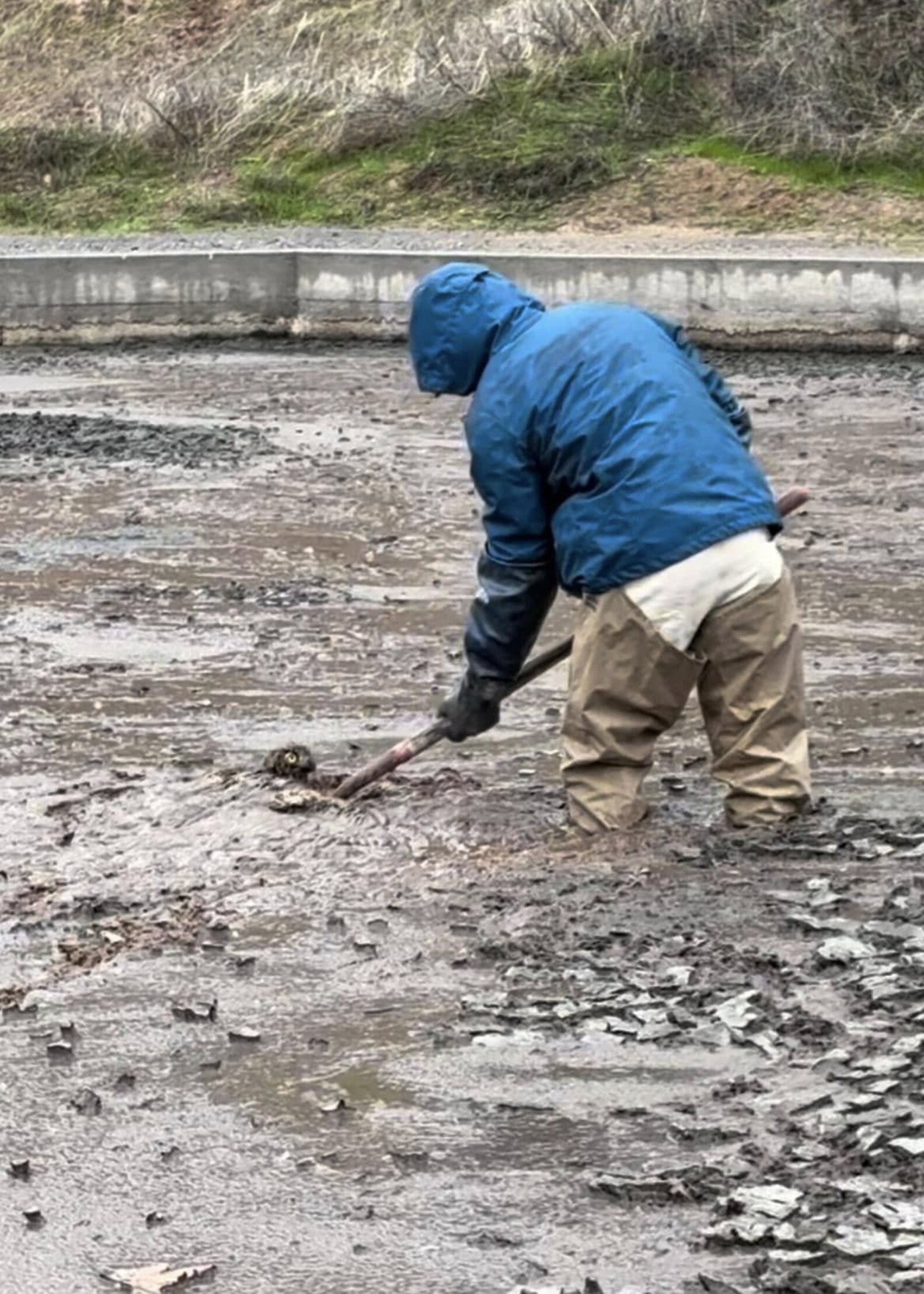 Worker Notices An Odd Lump In Sludge Pit — And It's Moving - The Dodo