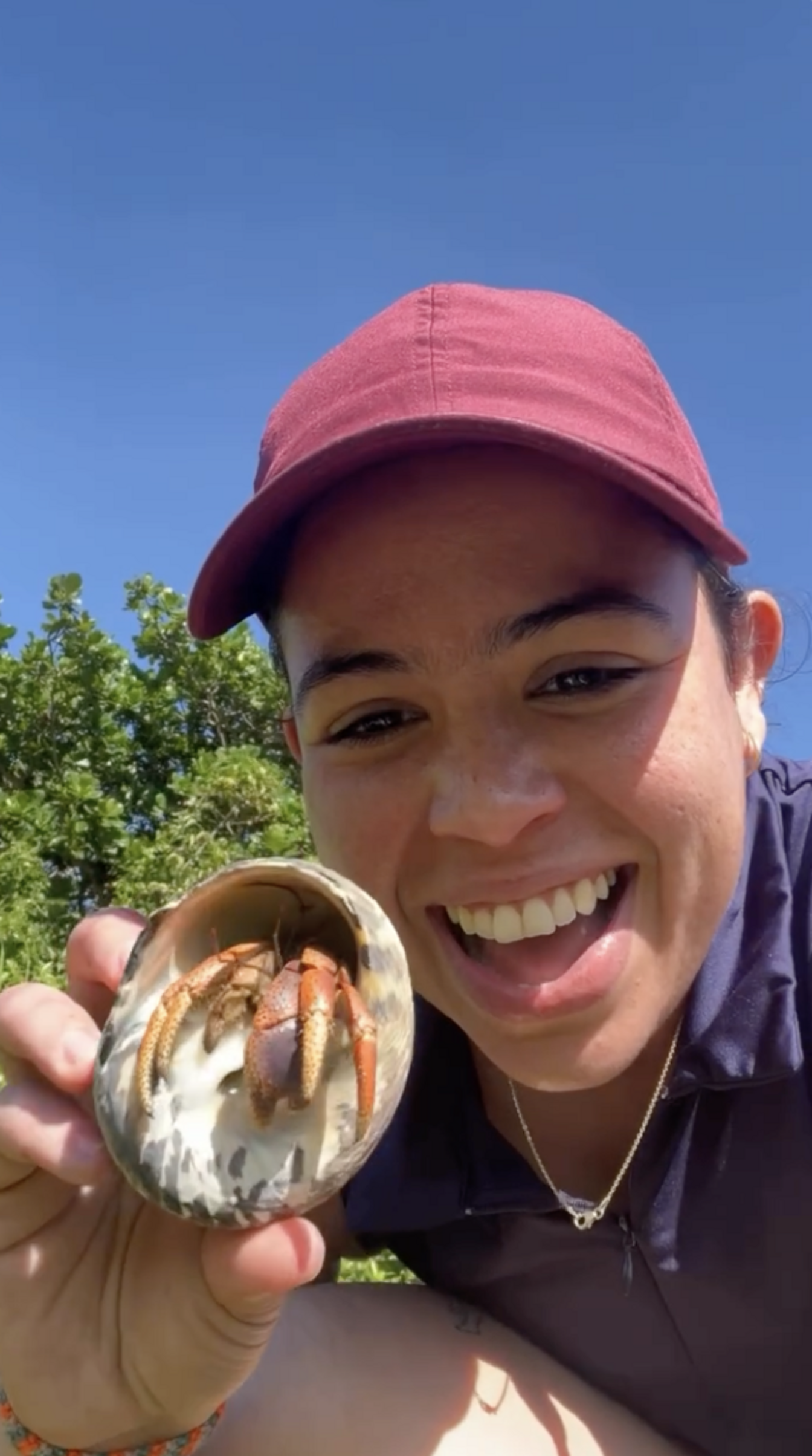 Hermit Crab Living In Plastic Pipe Gets Perfect New Home Thanks To Kind ...