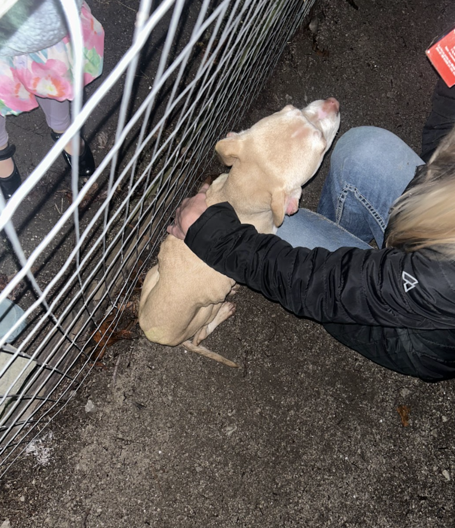 She Was Left In A Locked Dog Park Alone. Then Someone Heard Her Cries ...