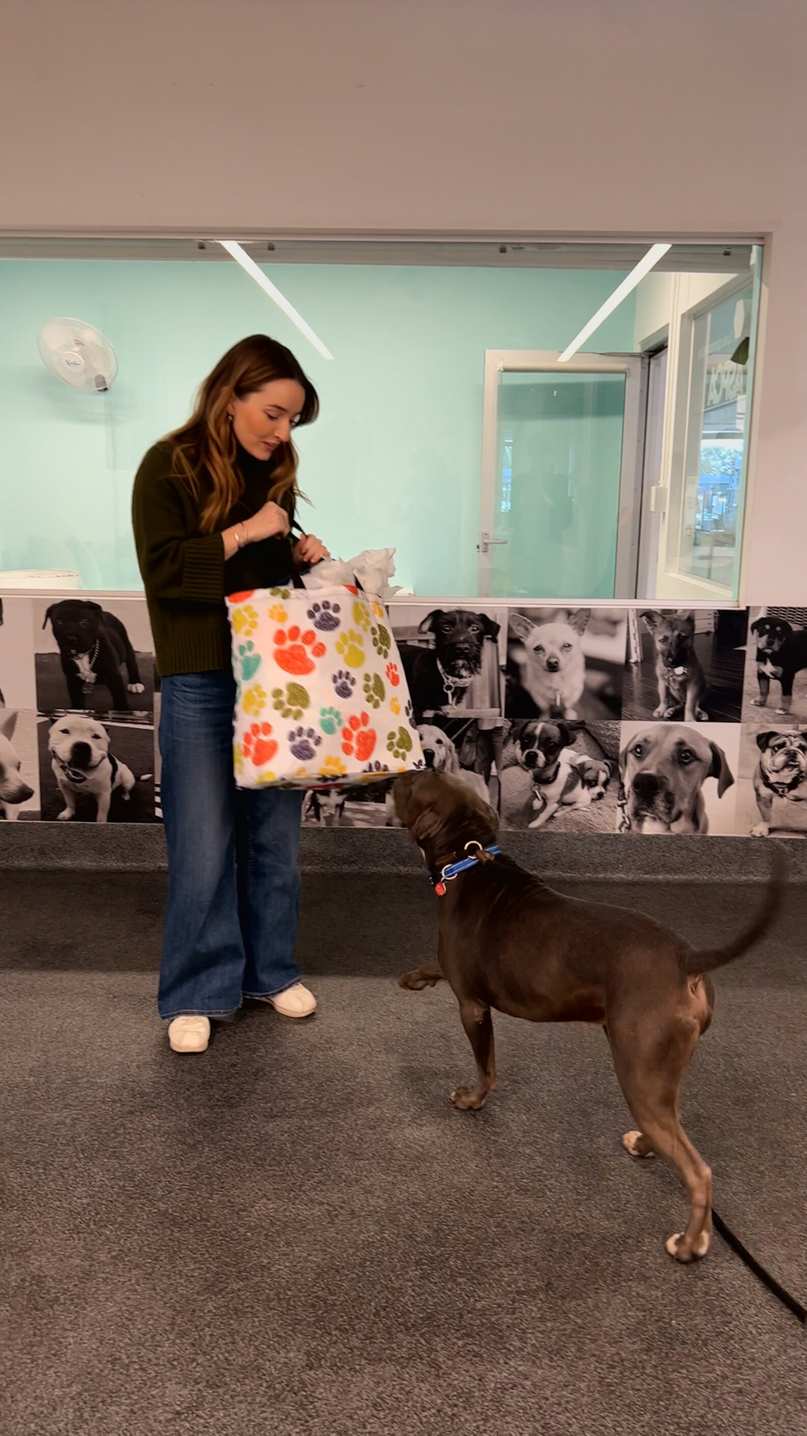 Kaitlyn Denver And Her Dodo Dream Date Help Animals Affected By ...