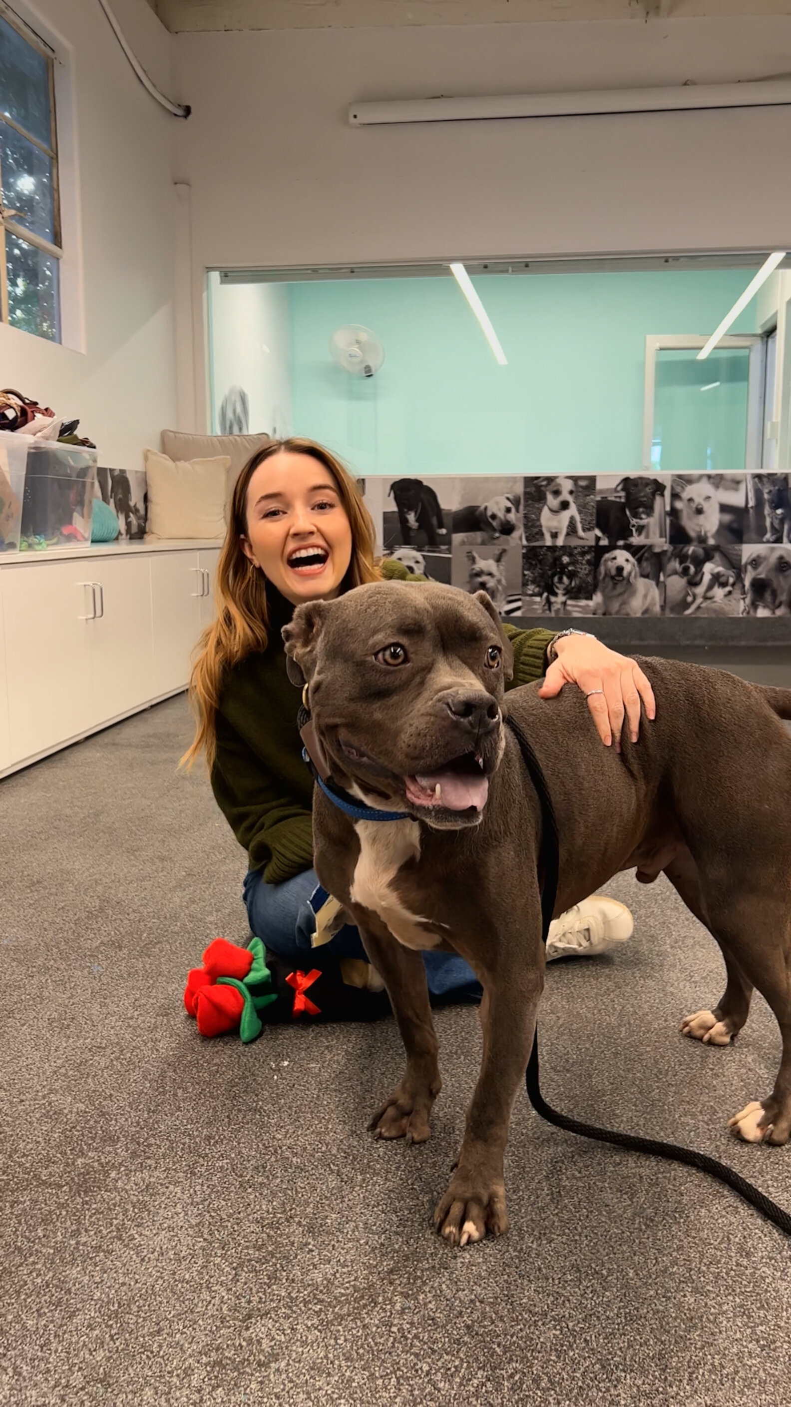 Kaitlyn Denver And Her Dodo Dream Date Help Animals Affected By ...