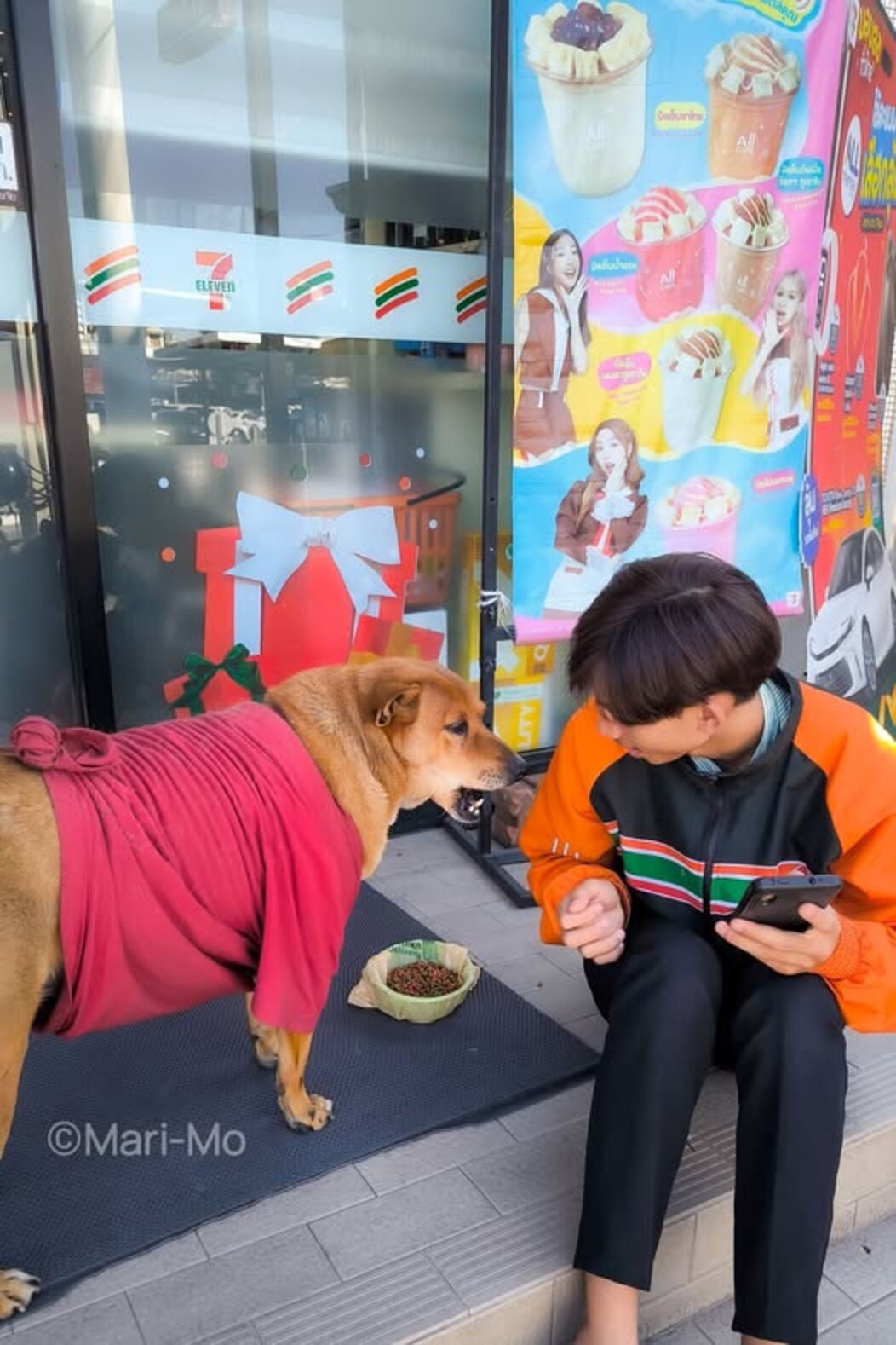 Dog Waited Months Outside 7-Eleven For Her Owner — Then A New Hope ...