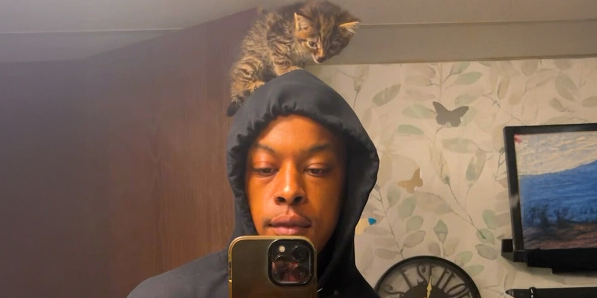 Guy Rescues A Tiny Kitten And Puts Her In His Rap Videos - Videos - The ...