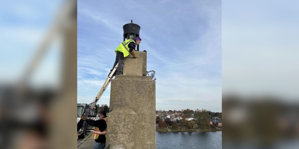 Rescuers Watch In Horror As Animal Falls Off Bridge — Then They See Him ...